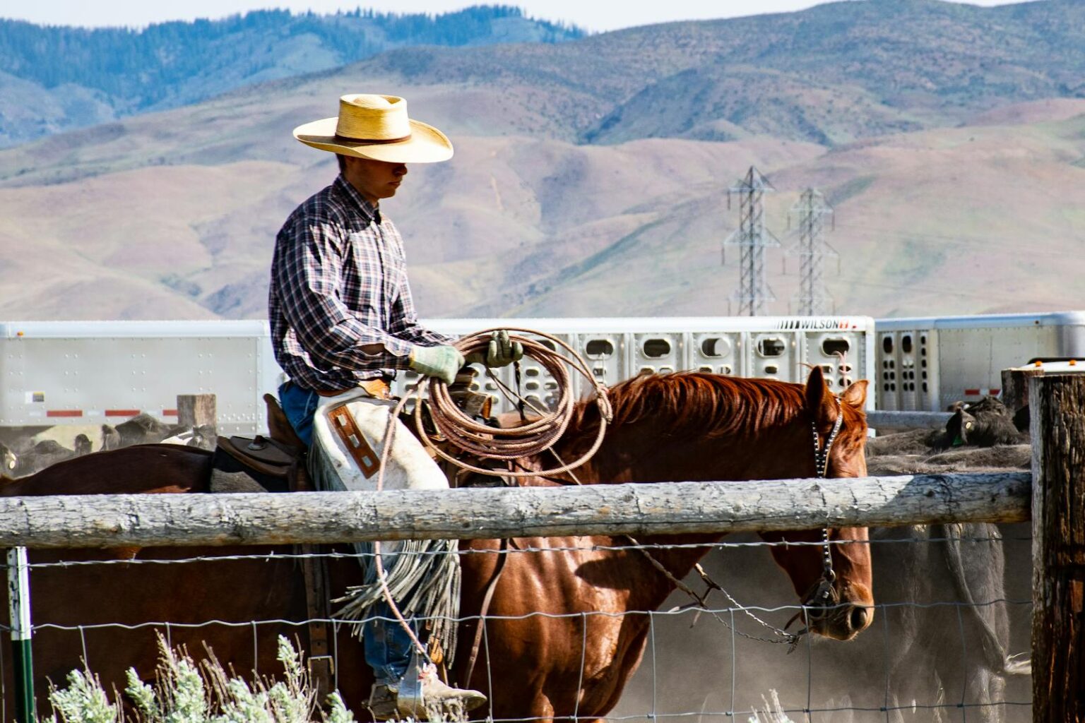 How to Fix a Horse That Won’t Stop or Slow Down – saddlesociety.com
