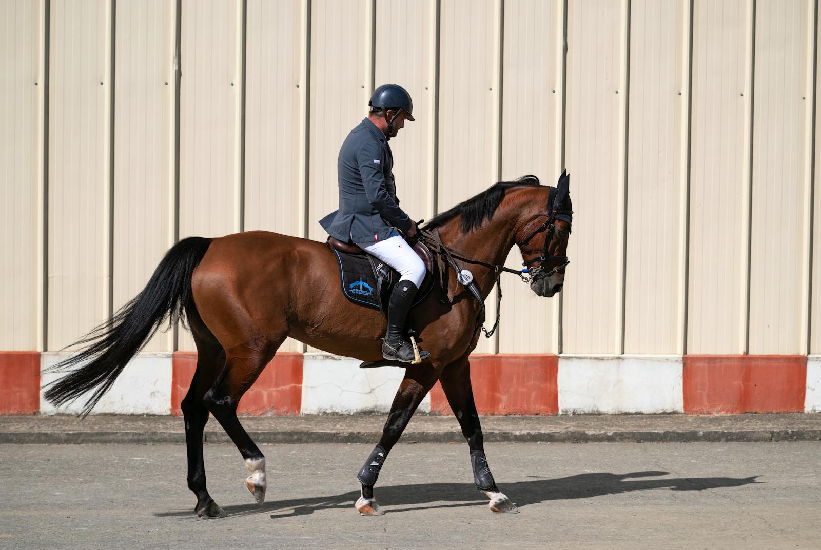 How to Fix a Horse That Won’t Stop or Slow Down – saddlesociety.com