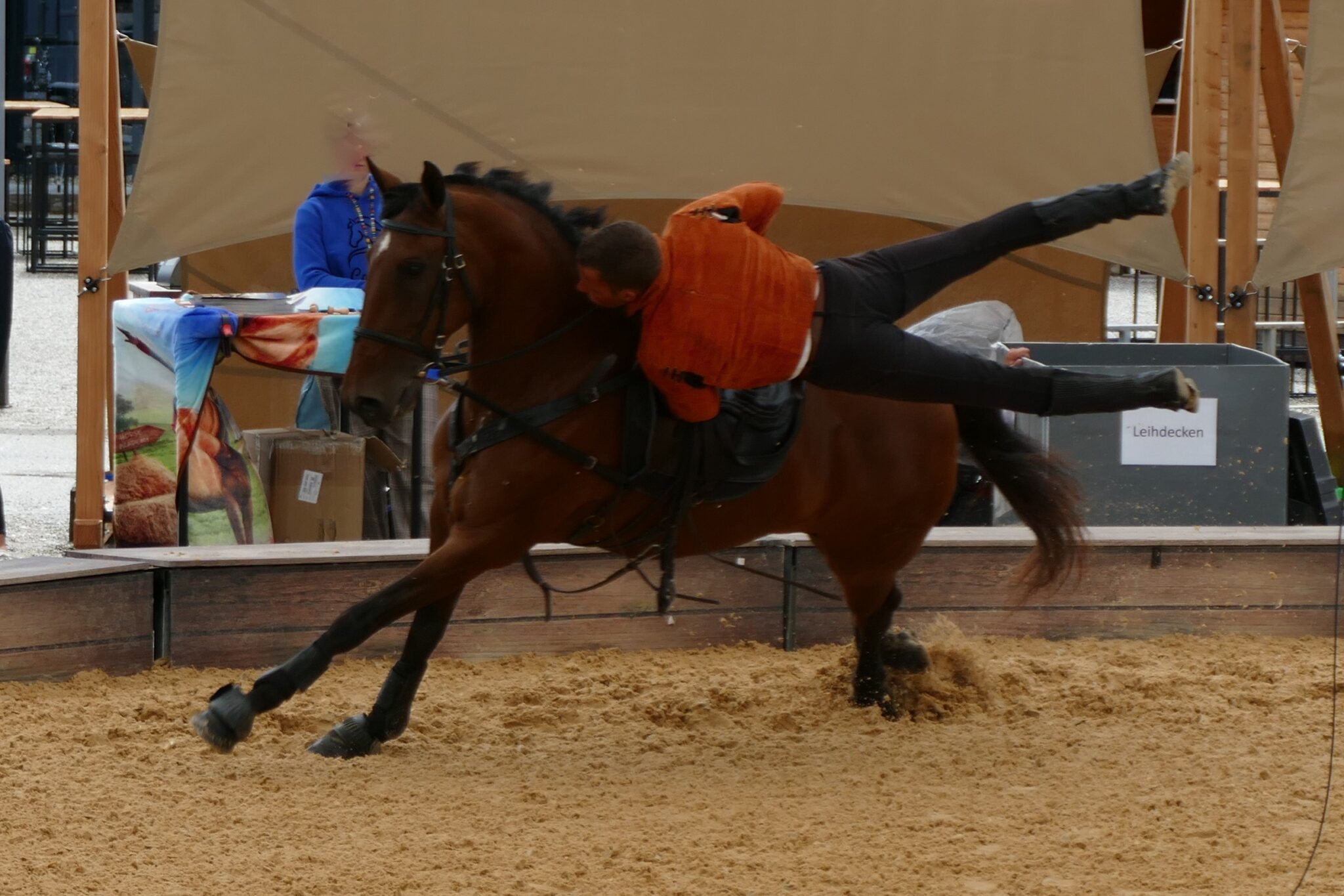 How to Train a Horse for Vaulting and Trick Riding – saddlesociety.com