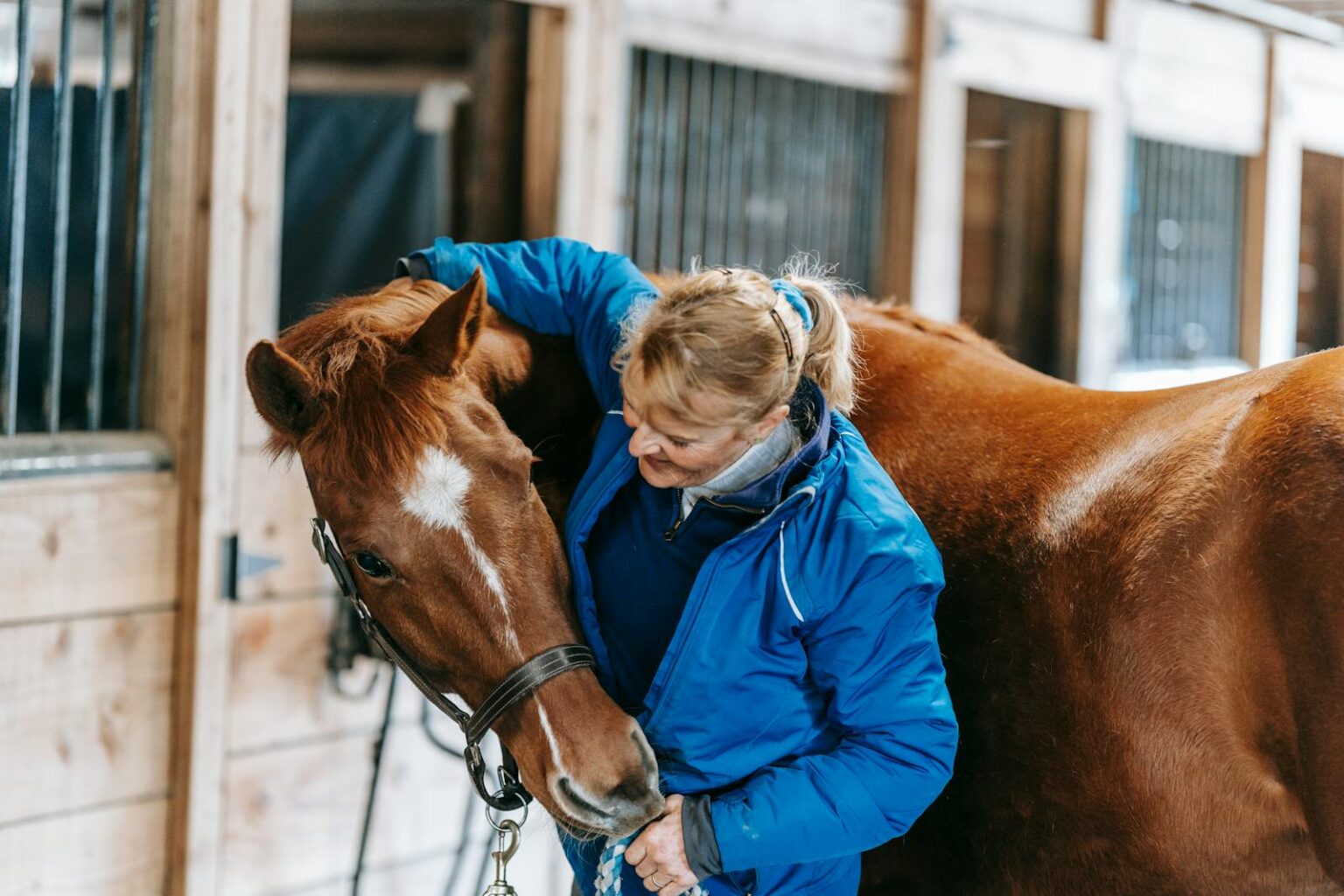 How to Fix a Horse That Won’t Stop or Slow Down – saddlesociety.com