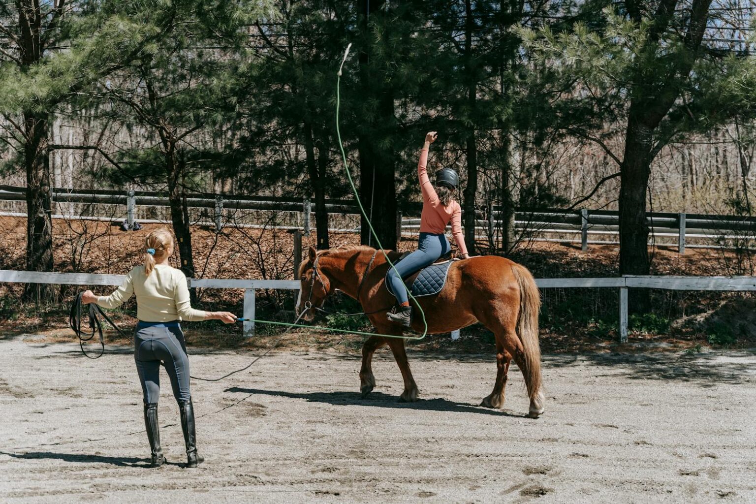 How to Train a Horse to Walk, Trot, and Canter Smoothly – saddlesociety.com