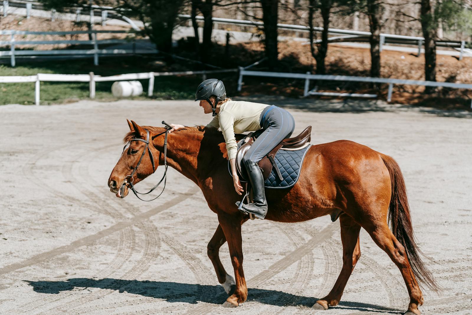 The Best Exercises for Teaching a Horse to Pick Up the Correct Lead ...