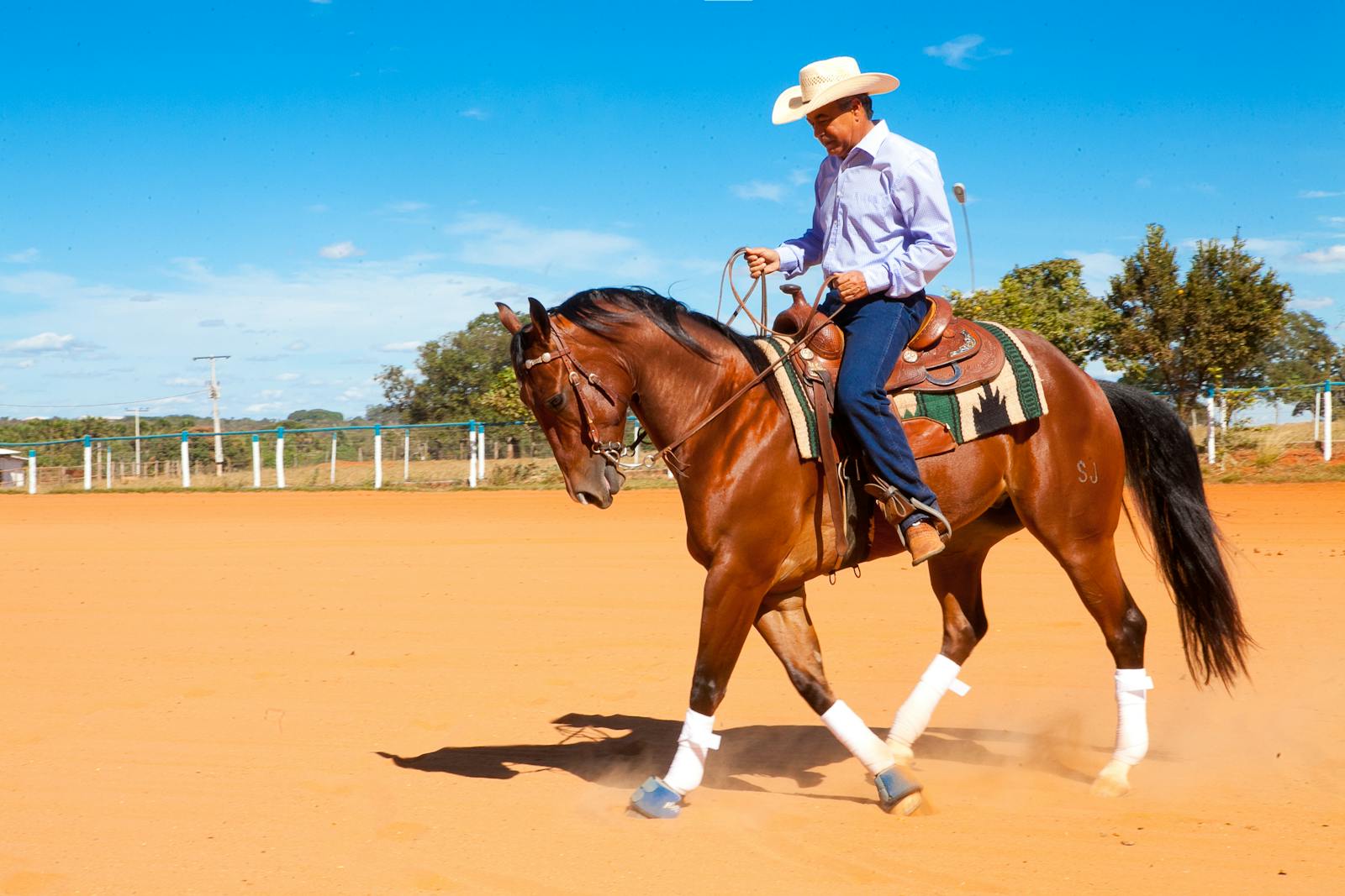 How to Fix a Horse That Won’t Stop or Slow Down – saddlesociety.com