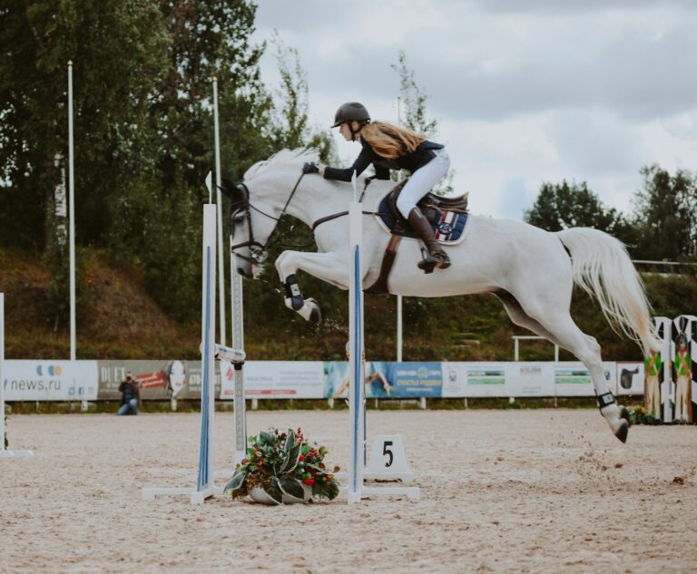 The Story Behind the Lipizzaner Stallions and Their Incredible Training ...