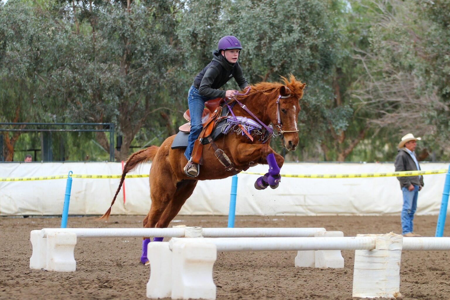 The Best Horse Breeds for Competitive Barrel Racing – saddlesociety.com