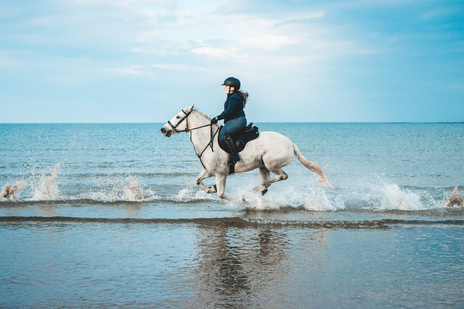 The Story Behind the Lipizzaner Stallions and Their Incredible Training ...