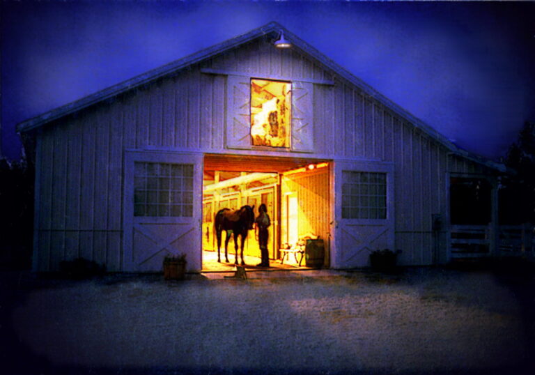 The Best Barn Layouts for Comfort, Ventilation, and Safety ...