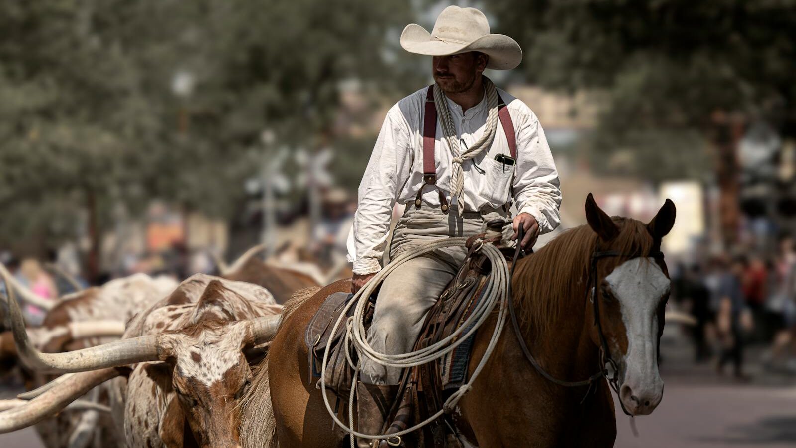 The Truth About cattle drives and Horse Behavior – saddlesociety.com
