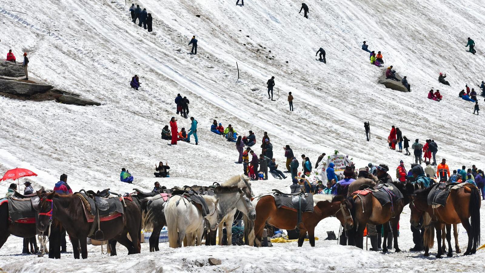 The Spiritual Connection Between Horses and Native Tribes ...