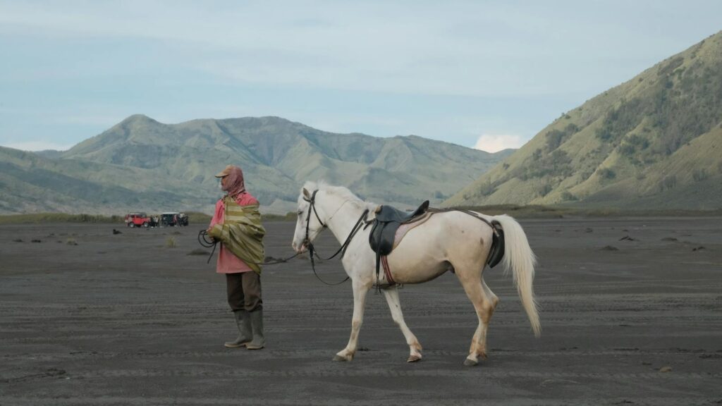 The Best Exercises for Loosening a Stiff Horse – saddlesociety.com