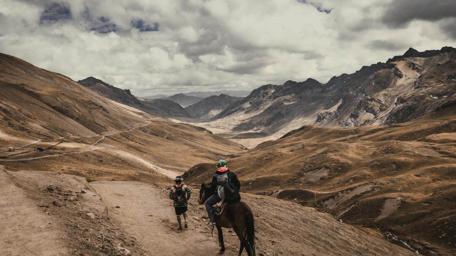 The Truth About cattle drives and Horse Behavior – saddlesociety.com