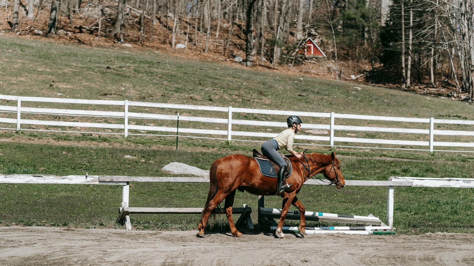 The Best Exercises for Loosening a Stiff Horse – saddlesociety.com