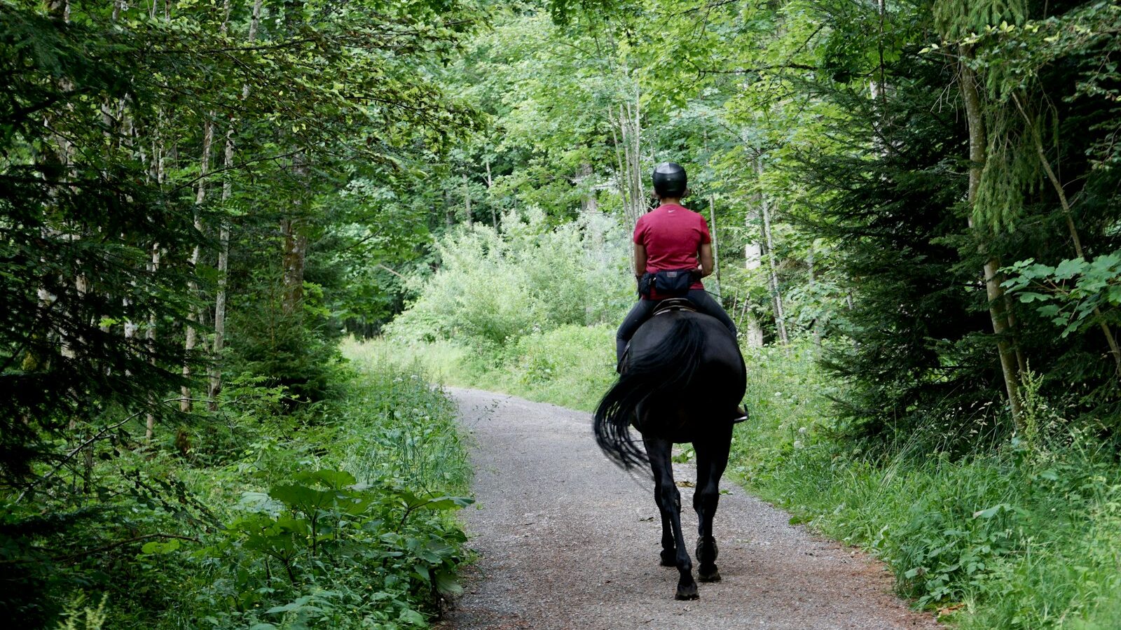 The Best Riding Exercises to Improve Leg Control – saddlesociety.com