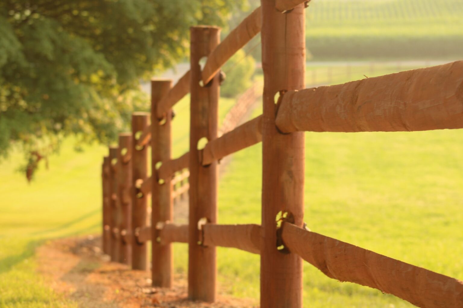 How to Design a Horse-Friendly Pasture for All Seasons – saddlesociety.com
