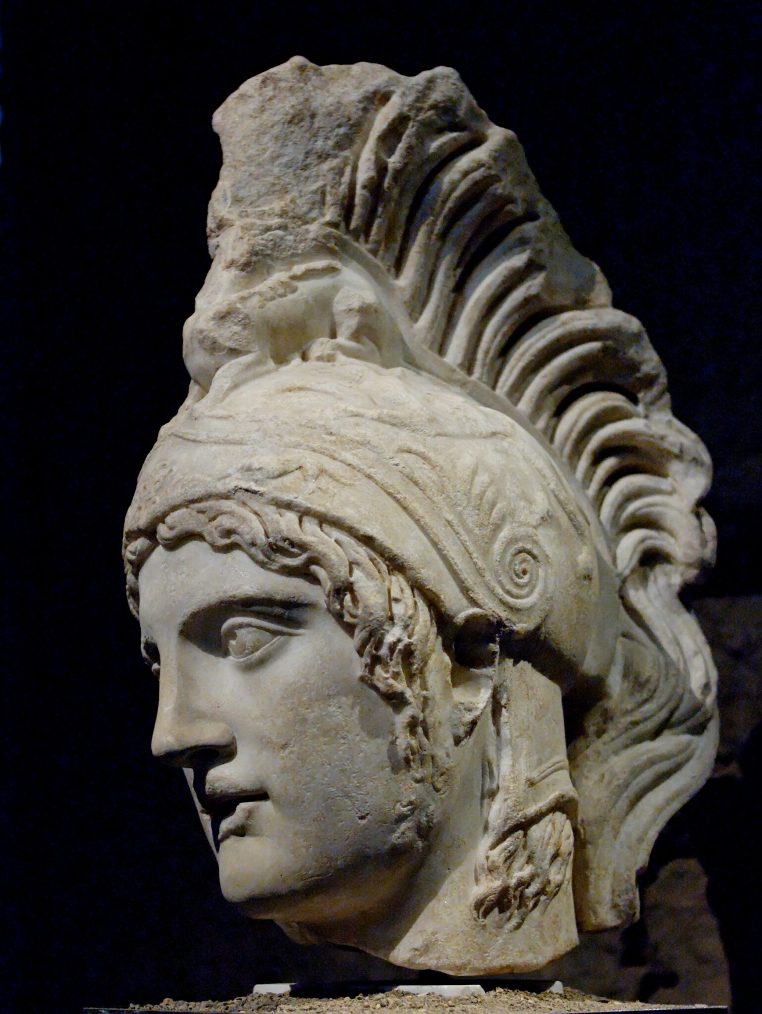 The Mythical Horses of Greek and Roman Legends – saddlesociety.com