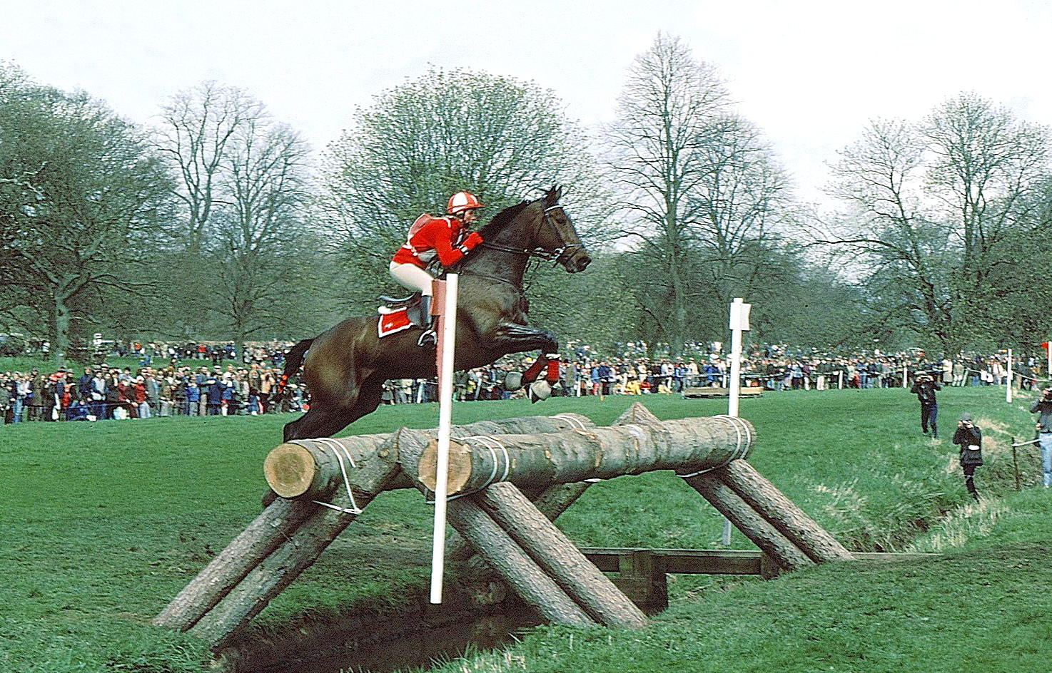 How to Build the Perfect Horse Obstacle Course at Home – saddlesociety.com