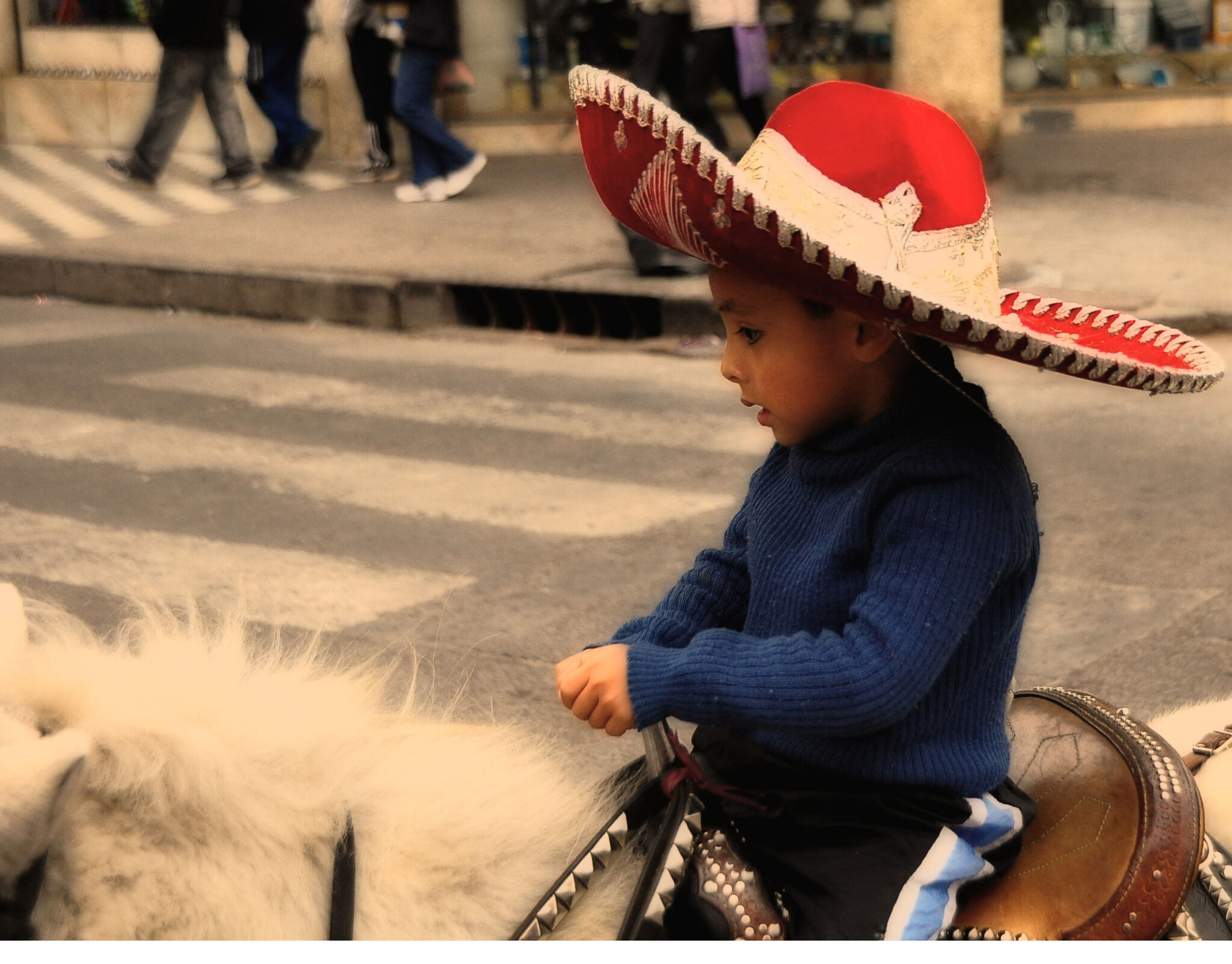 The Most Iconic Horses in Indigenous South American Cultures ...