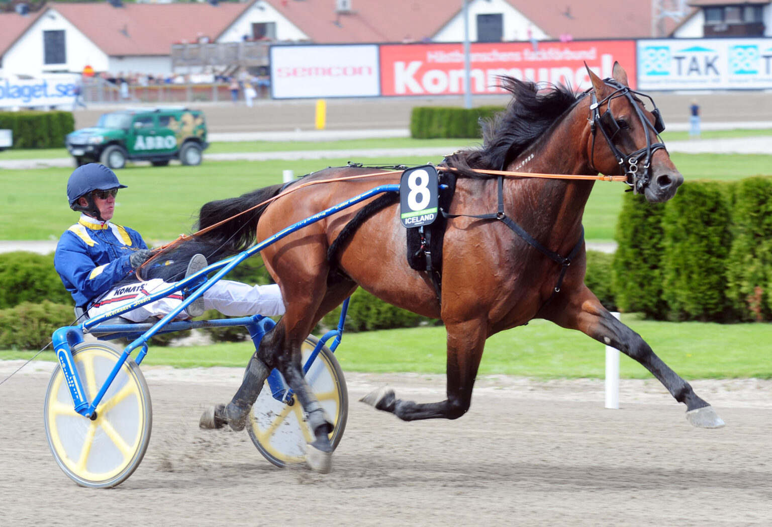 The Best Horse Breeds for Driving and Wagon Pulling – saddlesociety.com