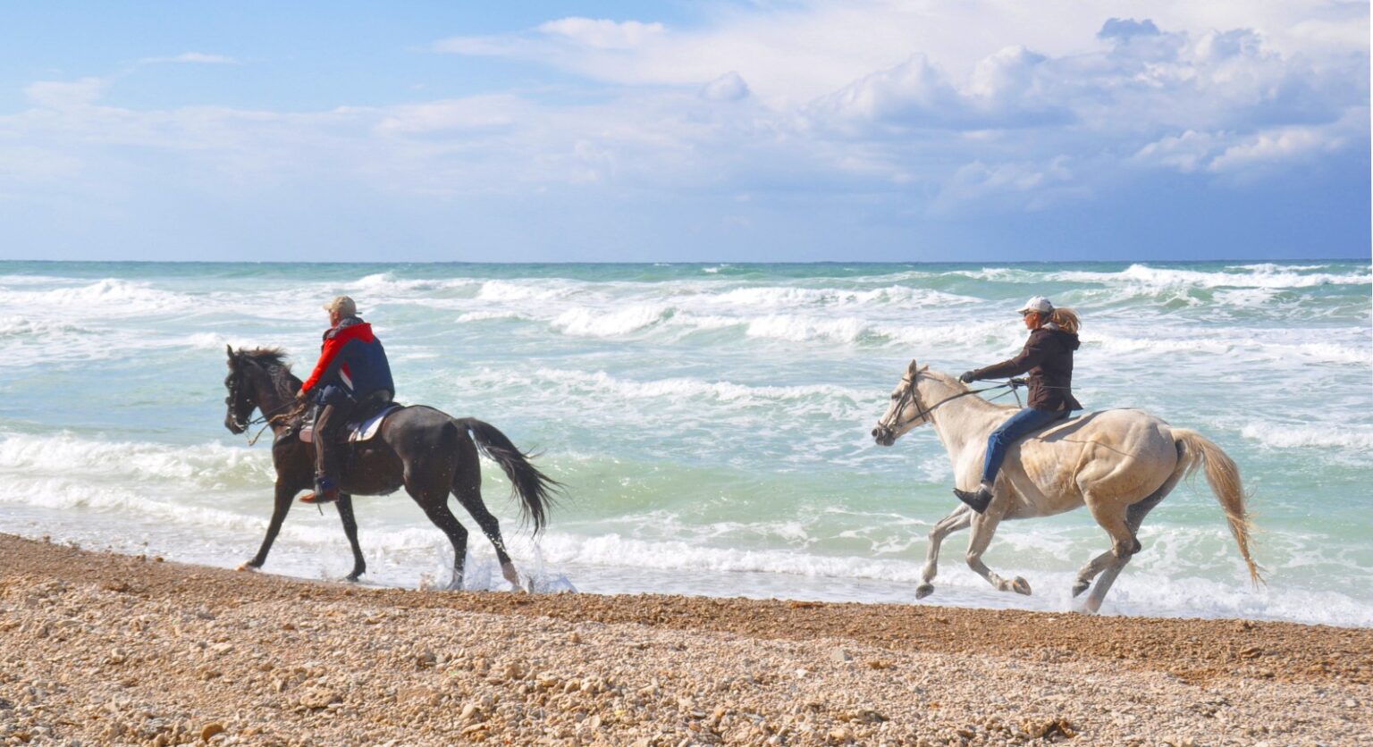 How to Ride Bareback Without Losing Balance – saddlesociety.com