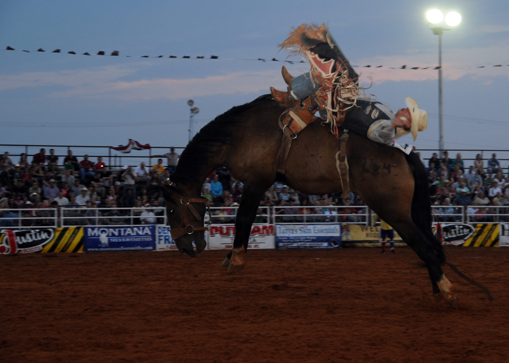 How to Ride Bareback Without Losing Balance – saddlesociety.com