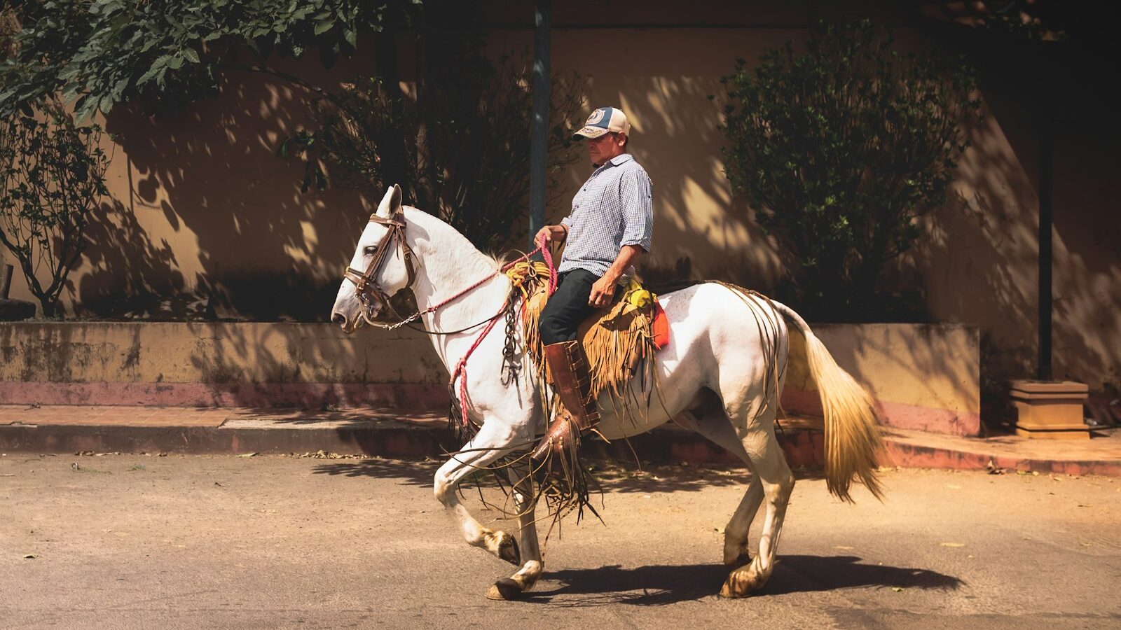 The History of the Pony Express and Its Riders – saddlesociety.com
