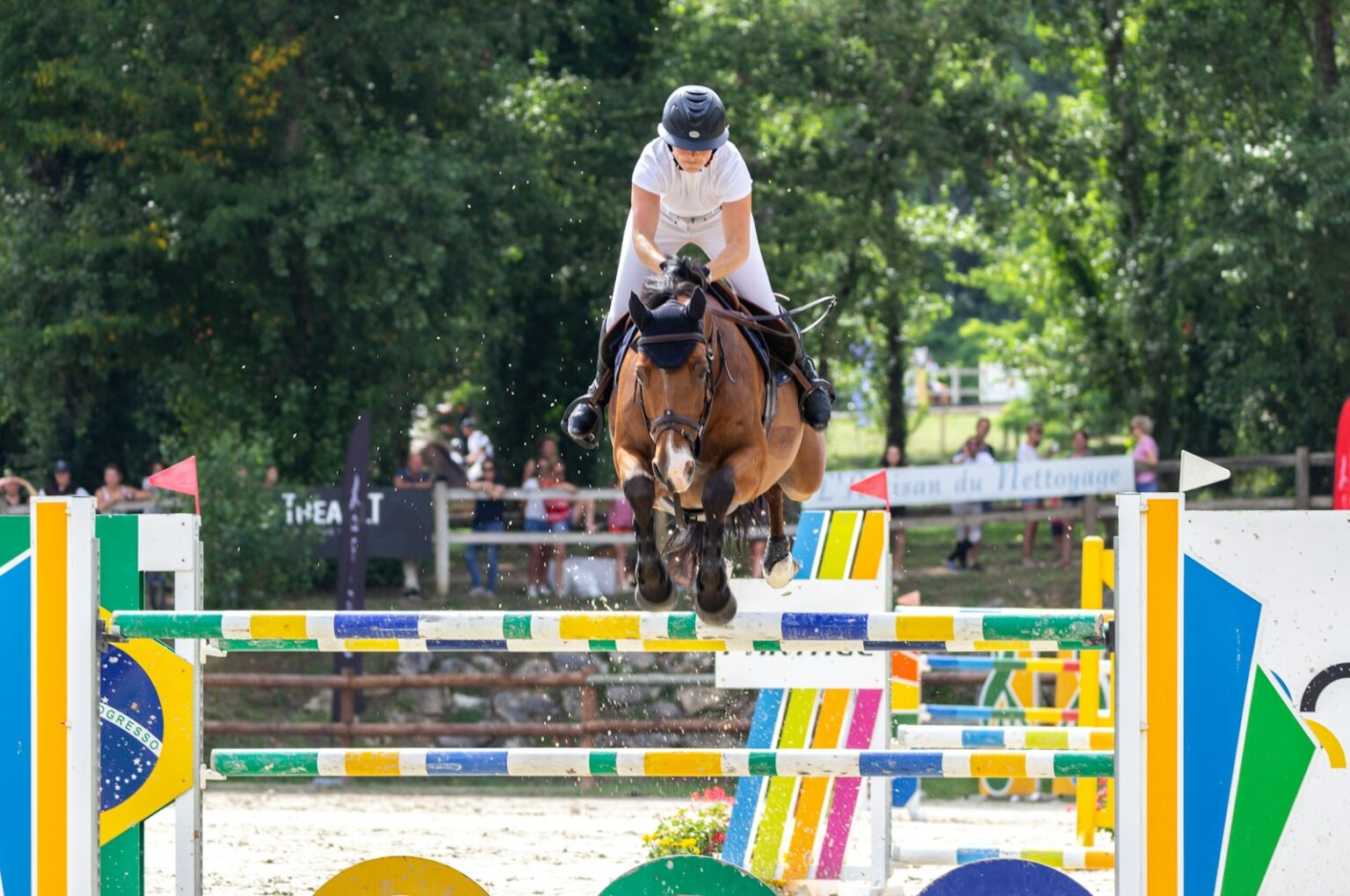 How to Build the Perfect Horse Obstacle Course at Home – saddlesociety.com