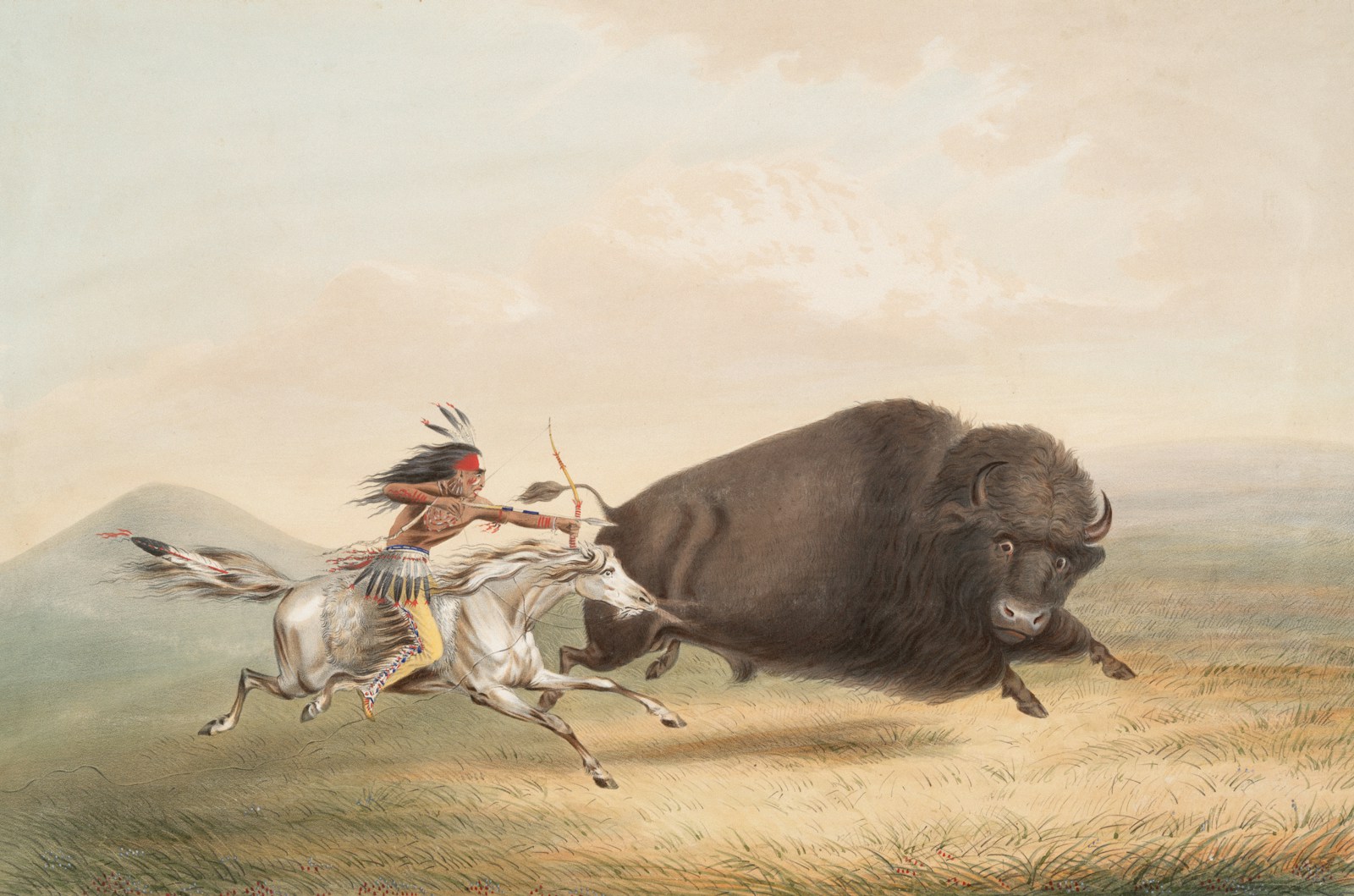 The Role of Horses in Colonial Settlements Across the Americas ...