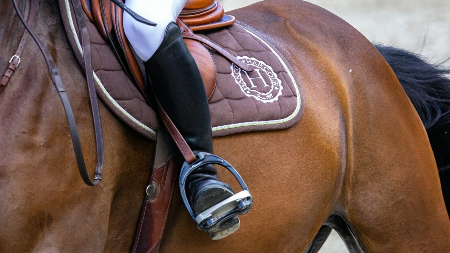 The Best Riding Exercises to Improve Leg Control – saddlesociety.com