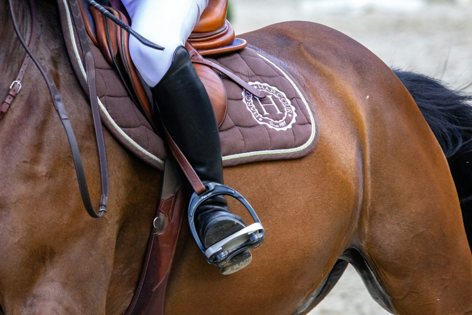 How to Measure a Horse for Saddle and Tack Fit – saddlesociety.com