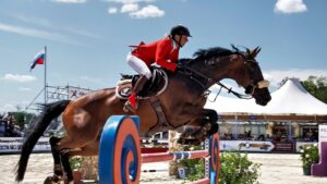 The Best Horse Breeds for Show Jumping Beginners – saddlesociety.com