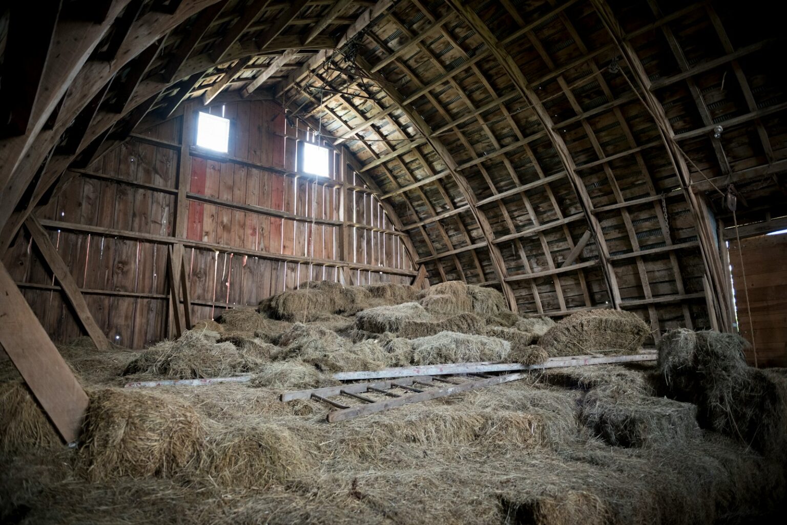 The Best Barn Layouts for Comfort, Ventilation, and Safety ...