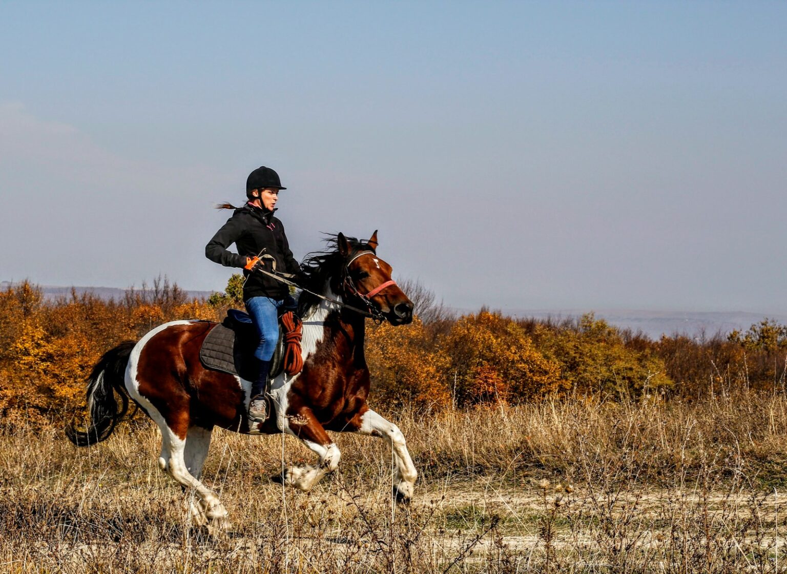 Why the Horse-Human Bond Is One of Nature’s Most Unique Relationships ...