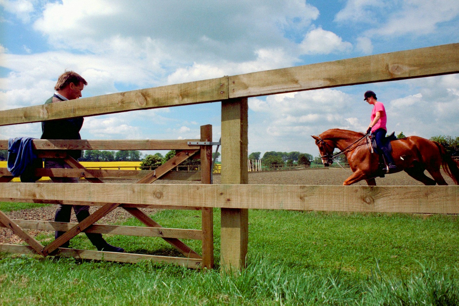 Why Some Horses Refuse to Go Forward – And How to Fix It ...