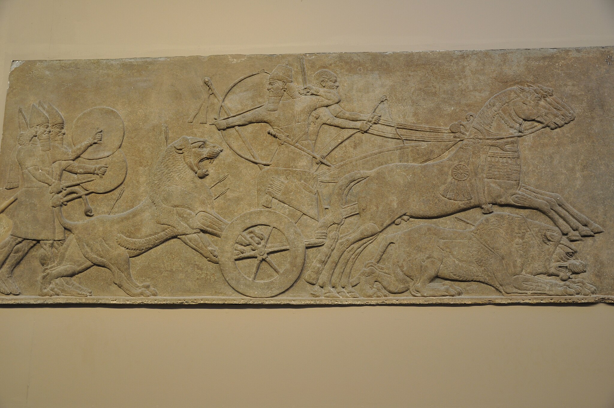 How Horses Were Trained for Ancient War Chariots – saddlesociety.com