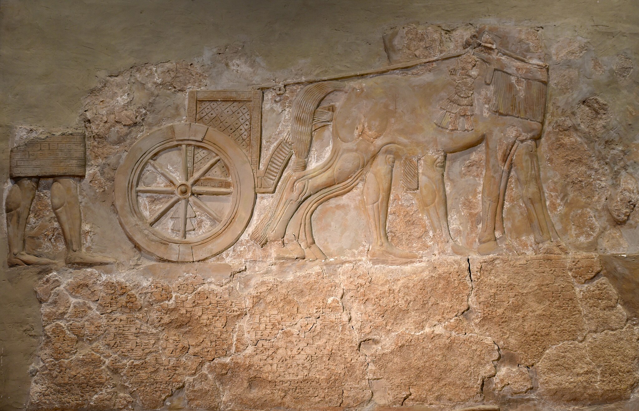 How Horses Were Trained for Ancient War Chariots – saddlesociety.com
