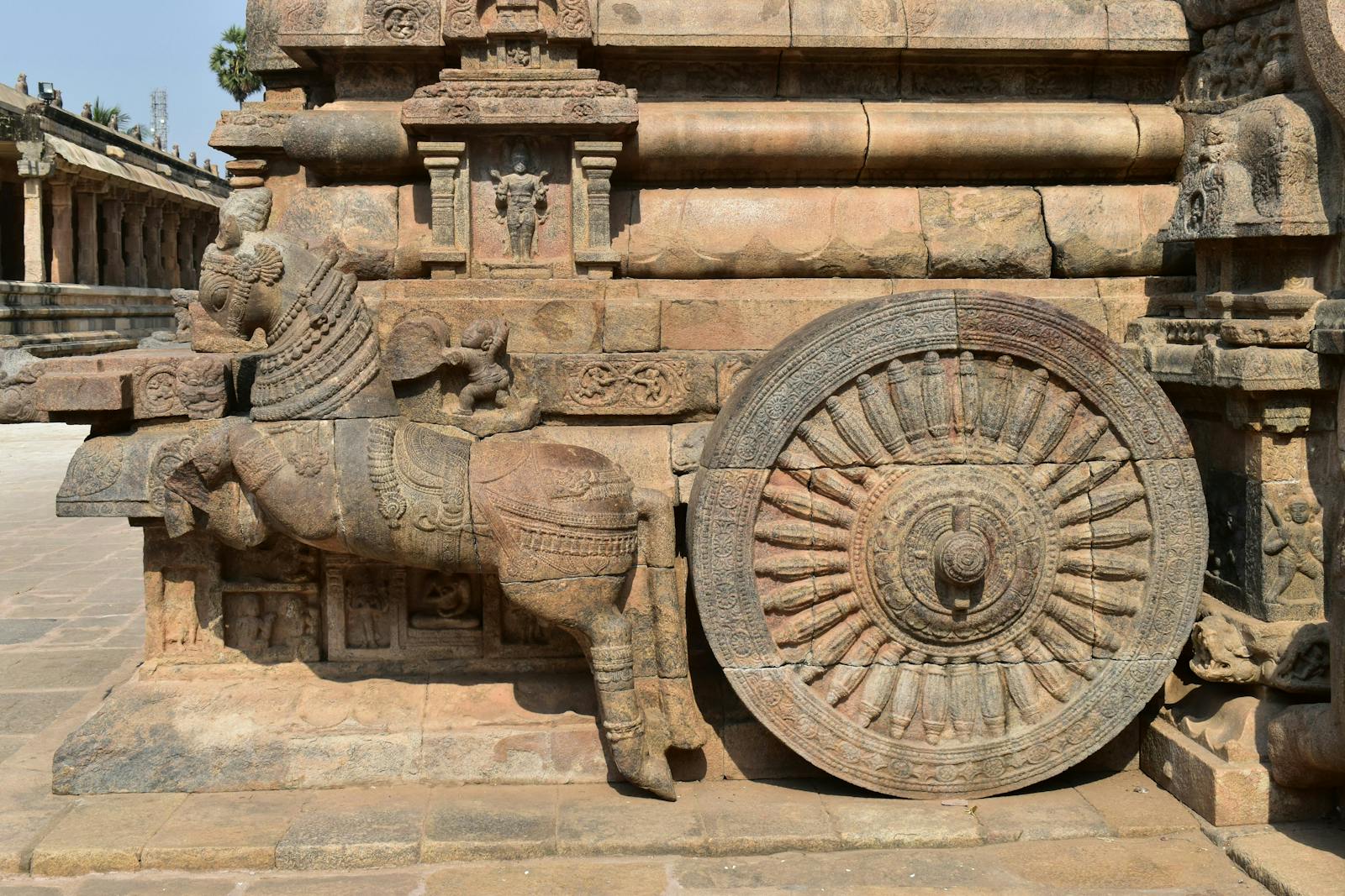 How Horses Were Trained for Ancient War Chariots – saddlesociety.com